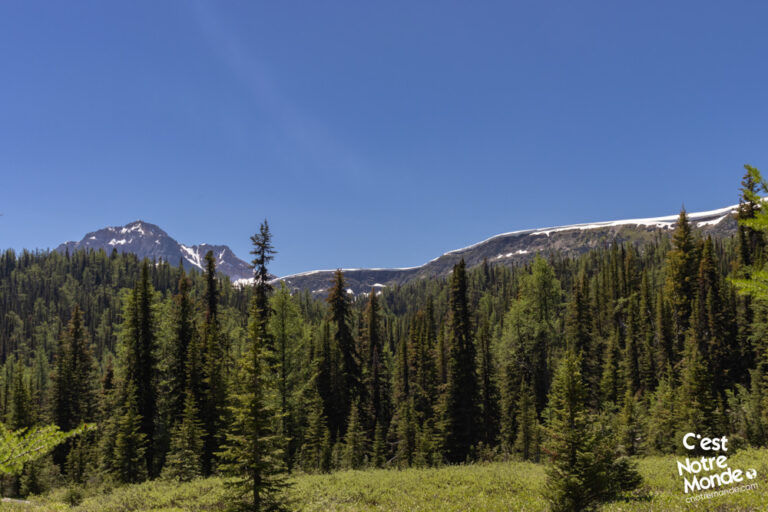 Pharaoh Peak and Egypt lake valley, 3 days in Banff National Park
