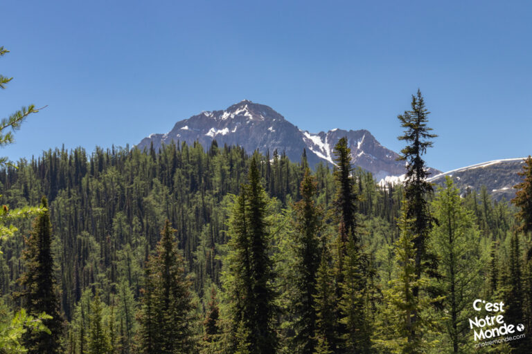 Pharaoh Peak and Egypt lake valley, 3 days in Banff National Park