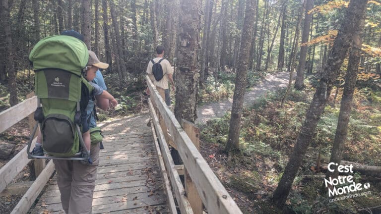 Sentier des Cimes, randonnée au Parc National du Mont-Mégantic