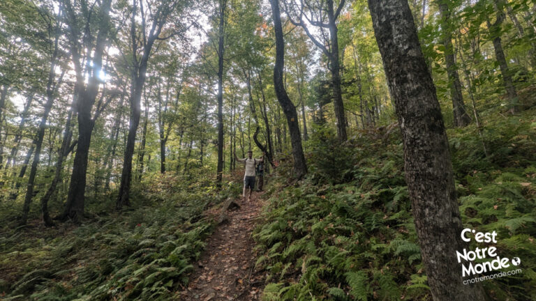 Sentier des Cimes, randonnée au Parc National du Mont-Mégantic